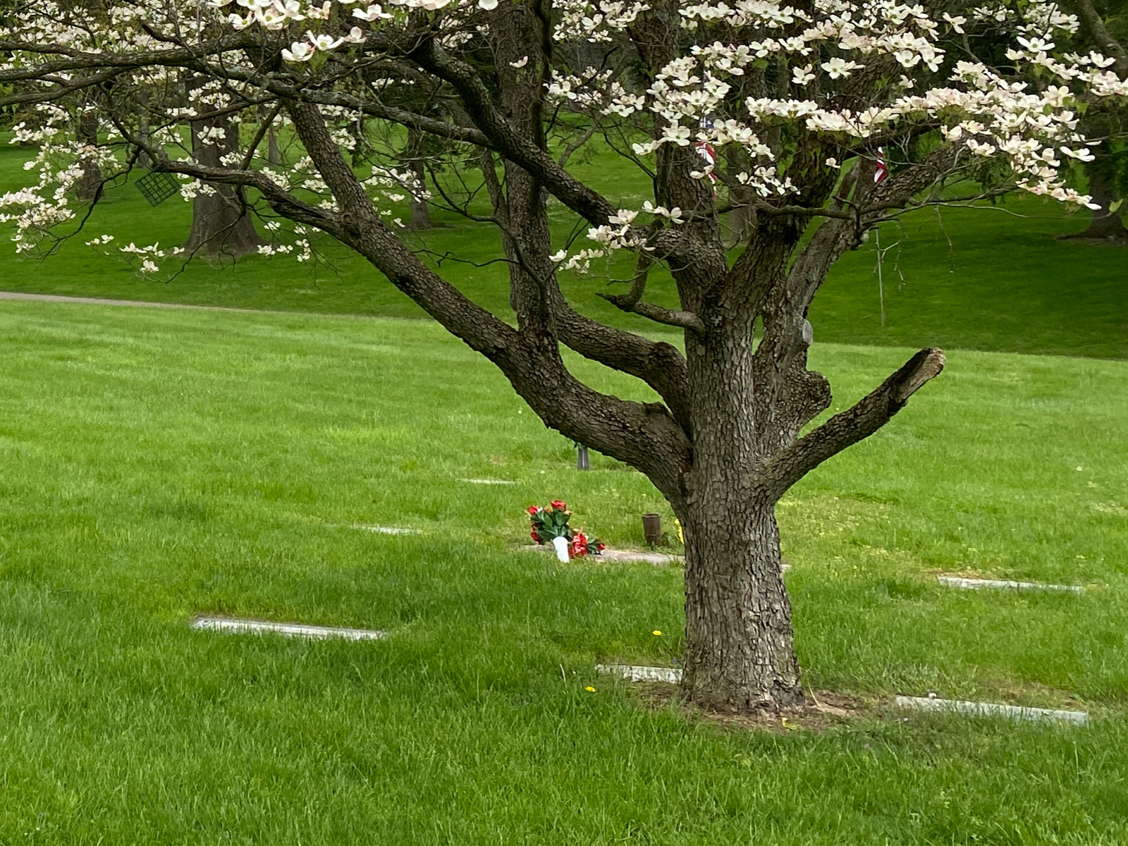 Grave Markers at Canton Cemetery Association