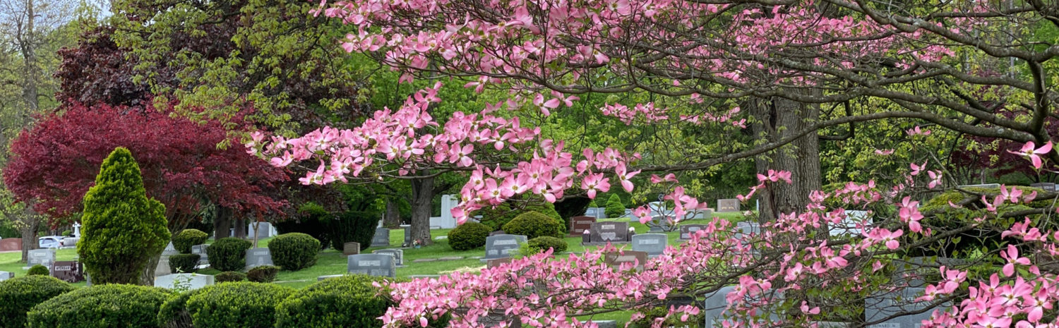 Traditional Grave Burial in Canton, OH Cemeteries